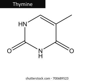 Polyphenylene Sulfide Pps Polymer Chemical Structure: เวกเตอร์สต็อก ...