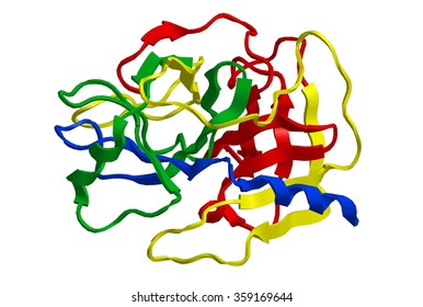 Stock ilustrace „Molecular Structure Trypsin Enzyme Cleaves Peptide ...
