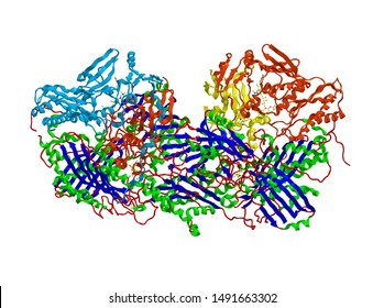 Molecular Structure Xanthine Oxidase 3d Rendering 库存插图 1491663302 ...