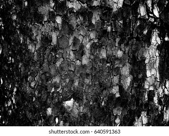 Bitmap texture wood : 338 images, photos et images vectorielles de ...