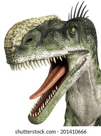 Pterodactylus Pterosaur Head 3d Illustration Pterodactylus Stock ...