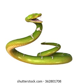 136 Chondro python Images, Stock Photos & Vectors | Shutterstock