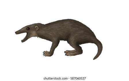 Morganucodon Images, Stock Photos & Vectors | Shutterstock