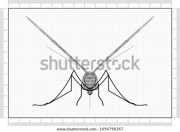 Mosquito Blueprint 3d Rendering Stock Illustration 1494798347