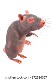 Cute Little Mouse Stock Illustration 1337806751 | Shutterstock