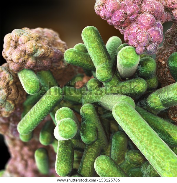 Mrsa Bacteria Stock Illustration 153125786 | Shutterstock