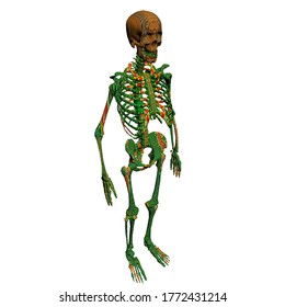 Multicolored Human Skeleton Patterns On White Stock Illustration 1772431214