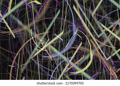 12,228 Thick curved lines Images, Stock Photos & Vectors | Shutterstock