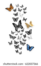 Multiple Butterflies Stock Illustration 622037366 | Shutterstock