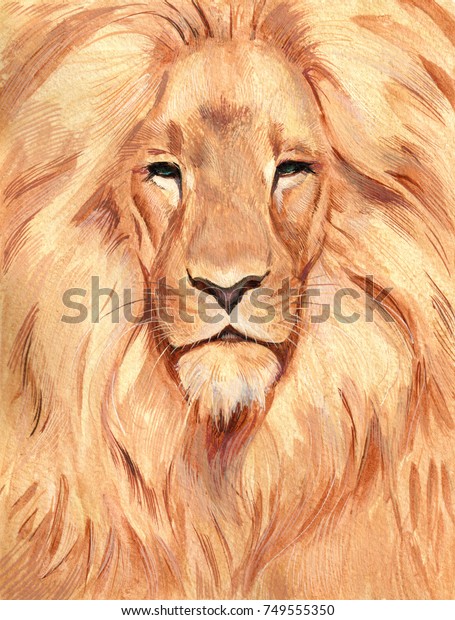 Muzzle Lion Stock Illustration 749555350 | Shutterstock