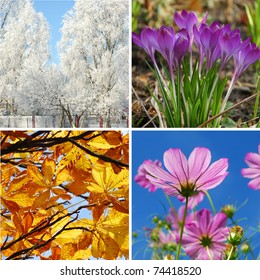 Nature Collage Square Shape Four Seasons 스톡 일러스트 74418520 | Shutterstock