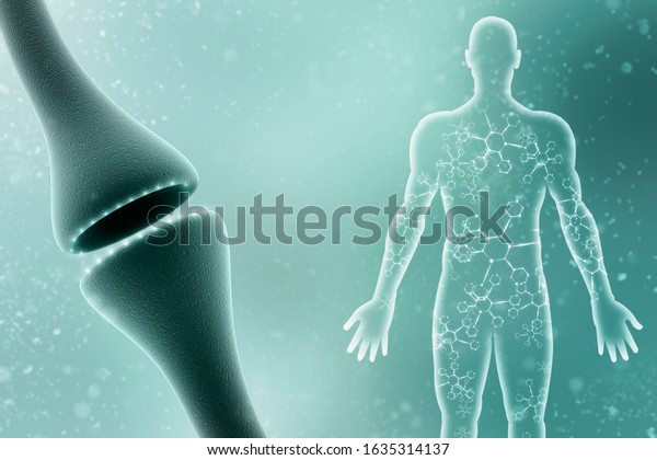 Nerve Cell 3d Rendering Receptor Stock Illustration 1635314137 ...