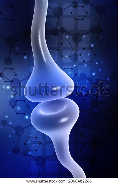 Nerve Cell 3d Rendering Receptor Stock Illustration 2068482266 ...