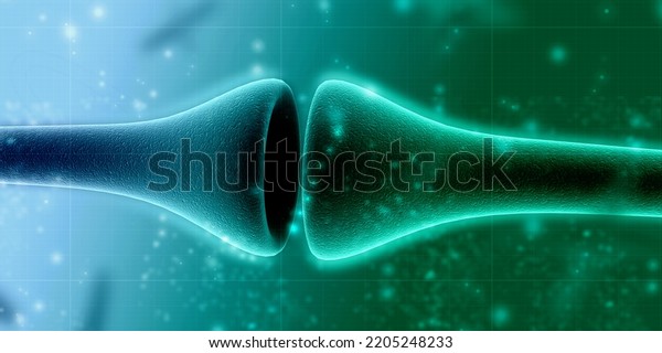 Nerve Cell 3d Rendering Receptor Stock Illustration 2205248233 ...
