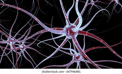 Nerve Cells Rendering Background Stock Illustration 647946475