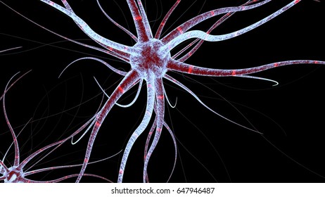 Escherichia Coli Bacterium 3d Illustration Gramnegative Stock ...