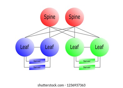 Network Design Model Leaf Spine Dual 스톡 일러스트 1236937363 | Shutterstock