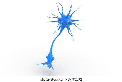 2,917 Neuron 3d White Background Images, Stock Photos & Vectors ...