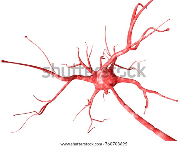 Neuron On White Background 3d Illustration Stock Illustration 760703695 ...