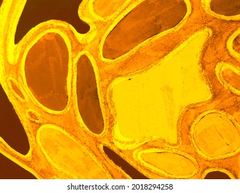 Neuron System Anatomic Spiral Texture Colorful Stock Illustration ...