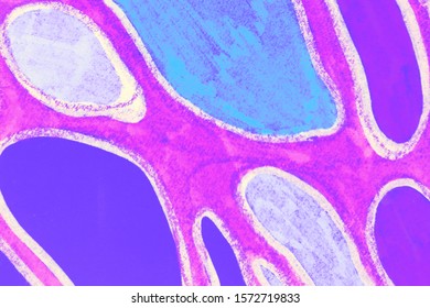 Neuron Texture Anatomic Ornate Pattern Neuron Stock Illustration ...