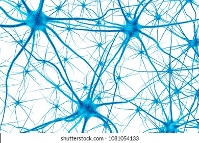 Neurons Brain Cell 3d Render Stock Illustration 1081054133 | Shutterstock