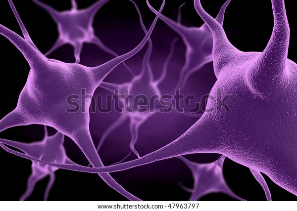 Neurons Inside Human Brain Stock Illustration 47963797 | Shutterstock