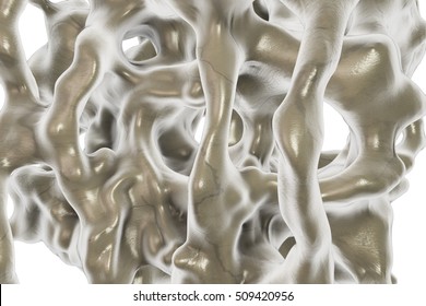 Normal Bone Tissue Closeup View Showing Stock Illustration 509420956 ...