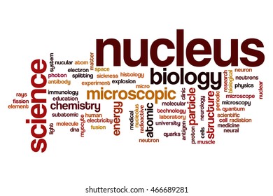 Nucleus Word Cloud Concept Stock Illustration 466689281 | Shutterstock