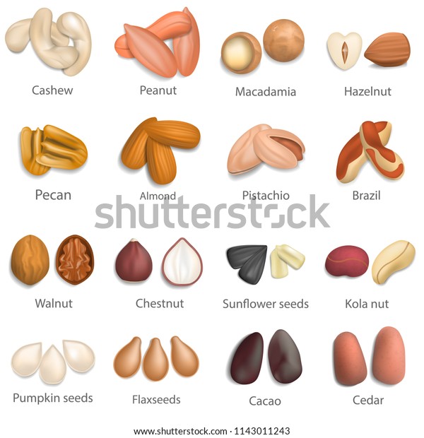 Nut Types Signed Names Mockup Set Stock Illustration 1143011243 ...