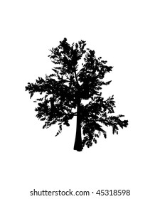 Oak Stock Illustration 45318598 | Shutterstock Oak Stock Illustration 45318598 | Shutterstock