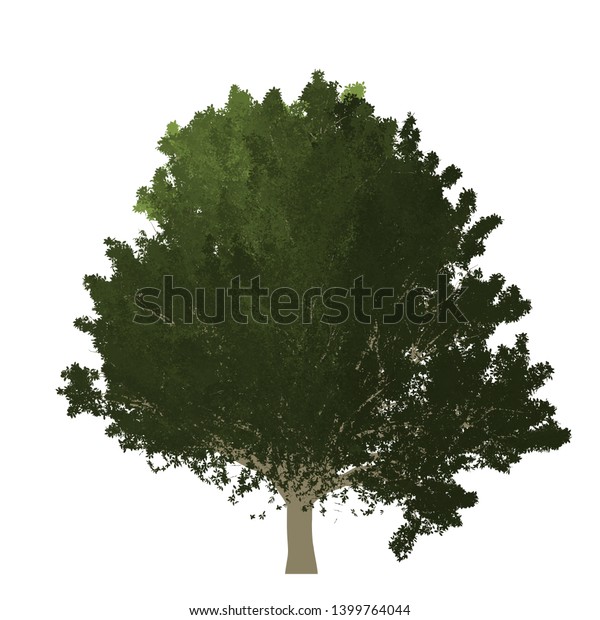Oak Tree 2d Rendering Graphic Picture Stock Illustration 1399764044 ...