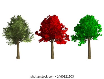 Object Trees On White Background Rendering Stock Illustration ...