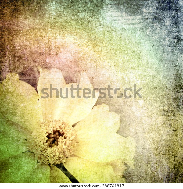 Old Paper Flower Stock Illustration 388761817 | Shutterstock