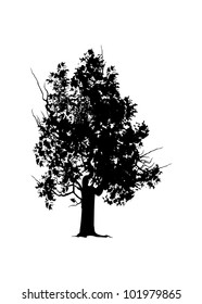 Old Tree Silhouette: stockillustratie 101979865 | Shutterstock