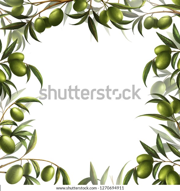 Olive Template Layout Design White Background Stock Illustration ...