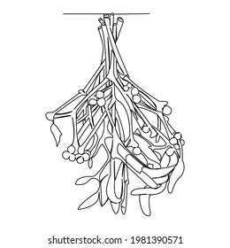 34 Mistletoe Continual Line Art Images, Stock Photos & Vectors ...