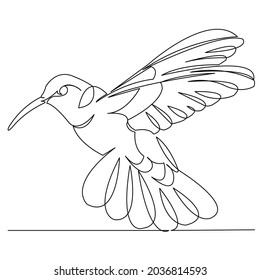 5,631 Colibri drawing Images, Stock Photos & Vectors | Shutterstock