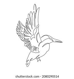 5,631 Colibri drawing Images, Stock Photos & Vectors | Shutterstock