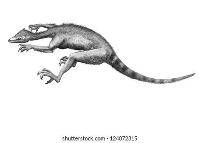 2 Extinct Thecodont Images, Stock Photos & Vectors | Shutterstock