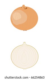 Fresh Onion Becomes Rotten Vector Isolated Stock Vector (Royalty Free ...