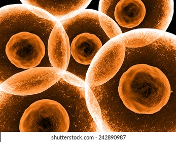 4,422 Human cells orange Images, Stock Photos & Vectors | Shutterstock