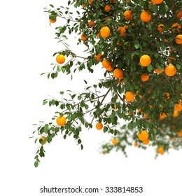 367,629 Orange Tree Illustration Images, Stock Photos & Vectors ...