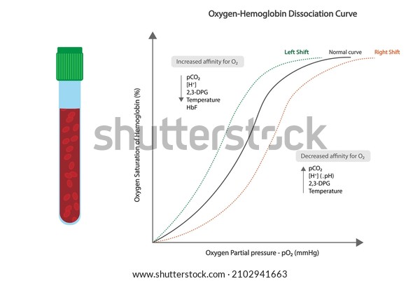 Oxygenhemoglobin Dissociative Curve Oxygen Dissociation Curve Stock ...