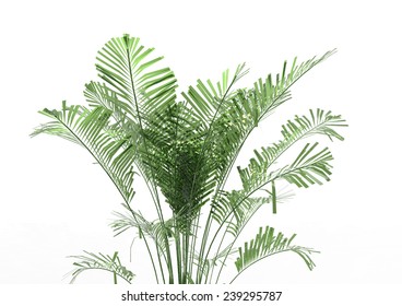 Palm Tree Stock Illustration 239295787 | Shutterstock