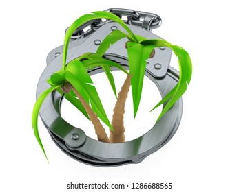 Palm Tree Inside Handcuffs Isolated On Stock Illustration 1286688565 ...