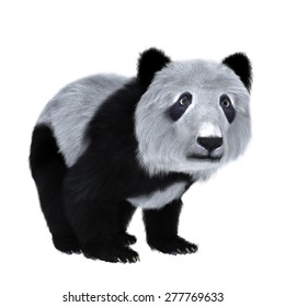 3d Digital Render Cute Running Panda 스톡 일러스트 257704432 | Shutterstock