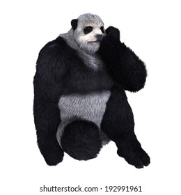 Panda Man Stock Illustration 192991961 | Shutterstock