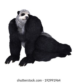 Panda Man Stock Illustration 192991964 | Shutterstock