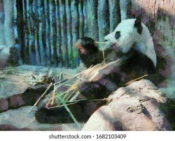 Panda Various Postures Illustrations Creates Impressionist 库存插图 ...